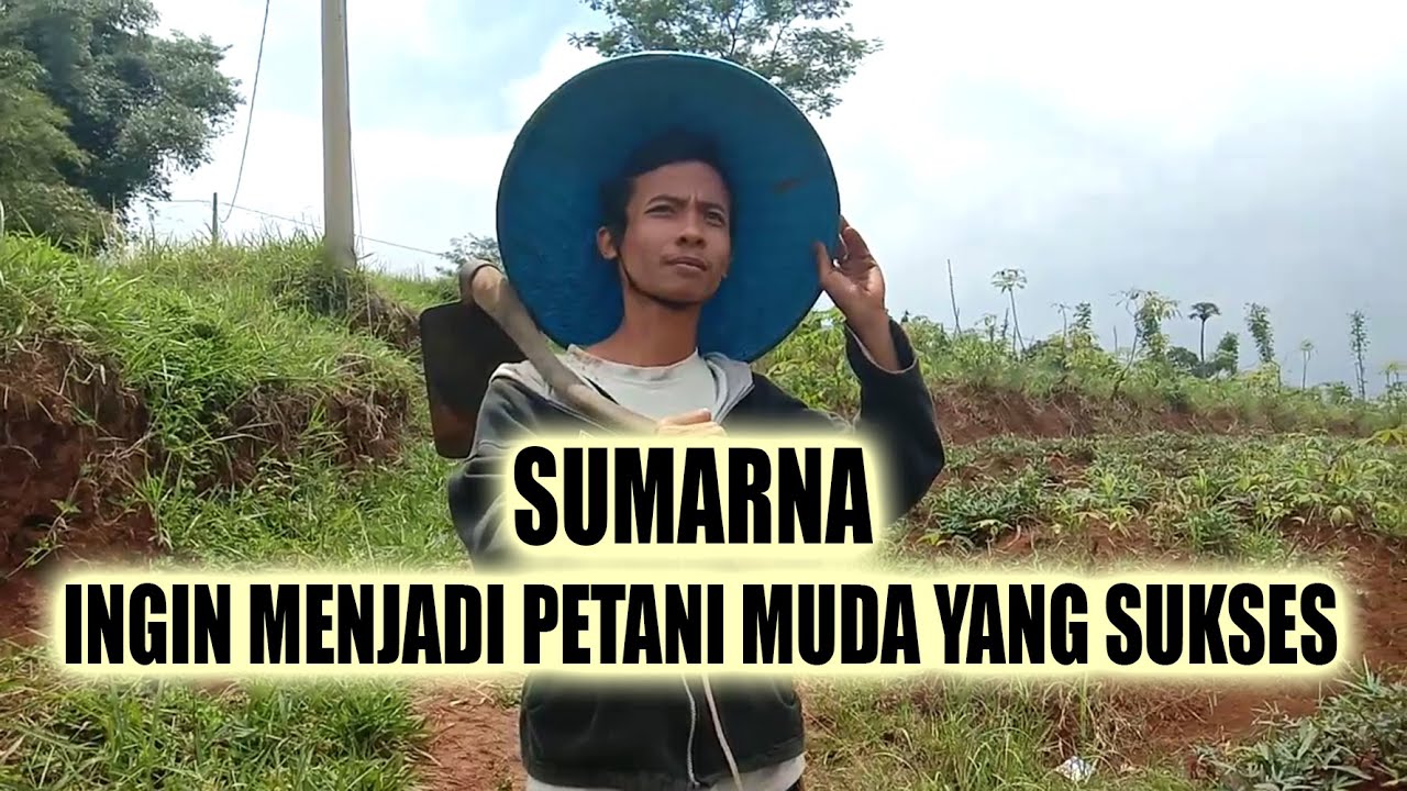 SUMARNA INGIN MENJADI PETANI MUDA YANG SUKSES - YouTube