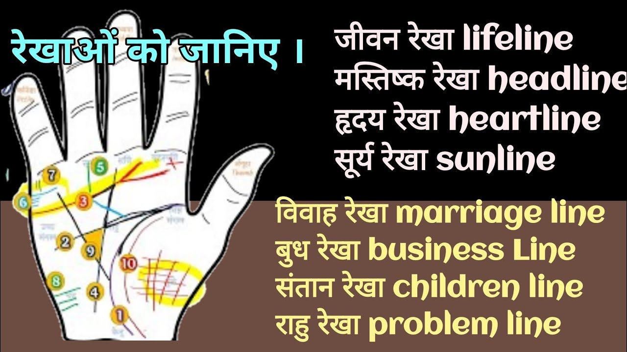 हस्तरेखा देखना सीखे 21 मिनट में |learn palmistry in 21 minutes | hast ...