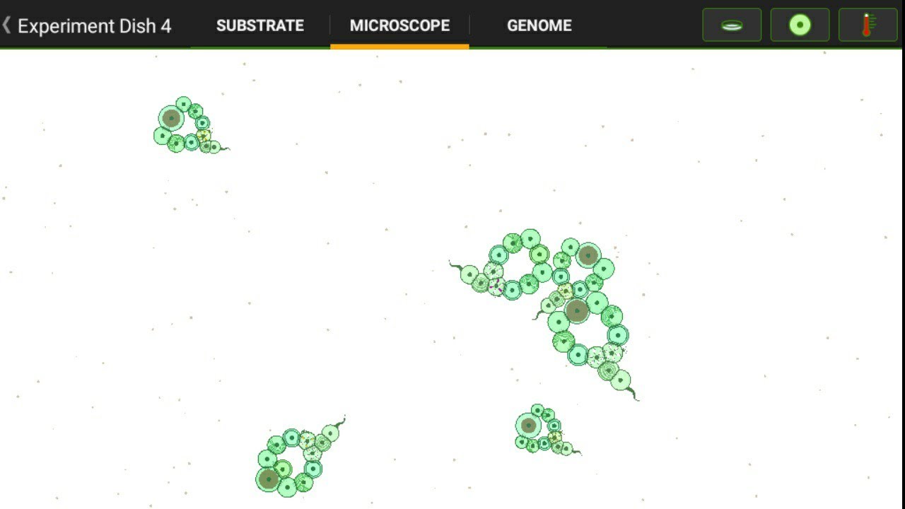 Plankton || Cell Lab - YouTube