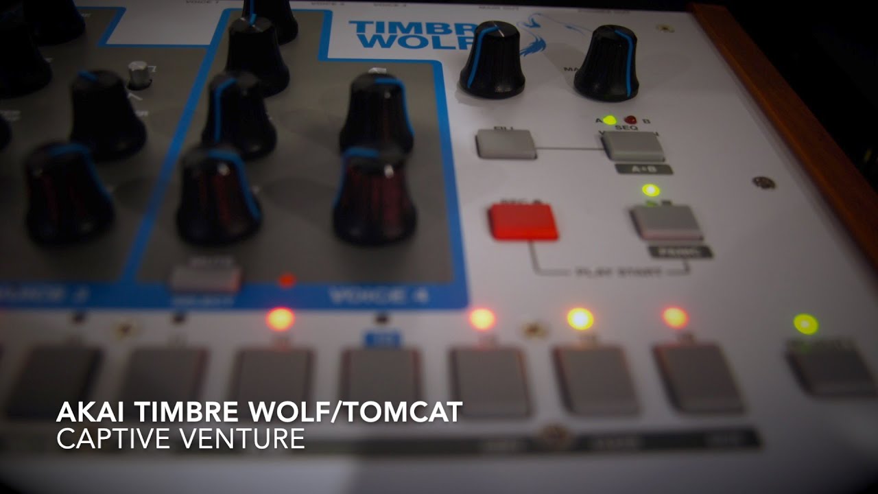 Akai Timbre Wolf - Tom Cat - Captive Venture - YouTube