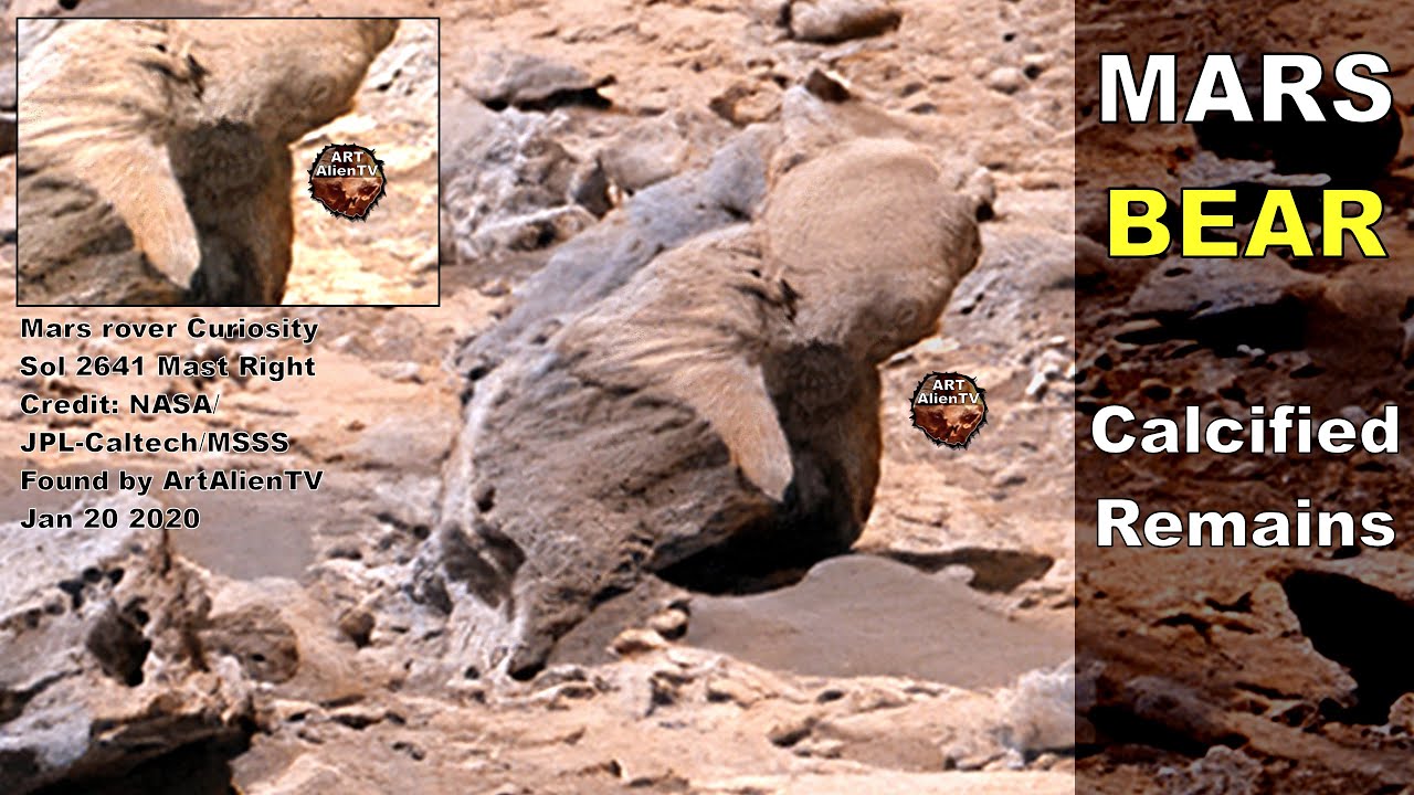 The MARS BEAR. Calcified Remains Explained. ArtAlienTV 2K - YouTube