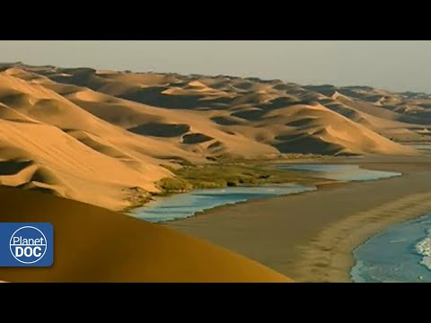 A place ... incredible: this is the spectacular Skeleton Desert (FULL ...