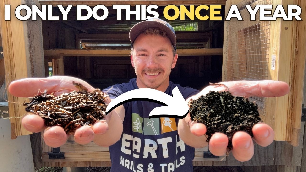 How to Clean Your Chicken Coop and Make Amazing Compost! - YouTube