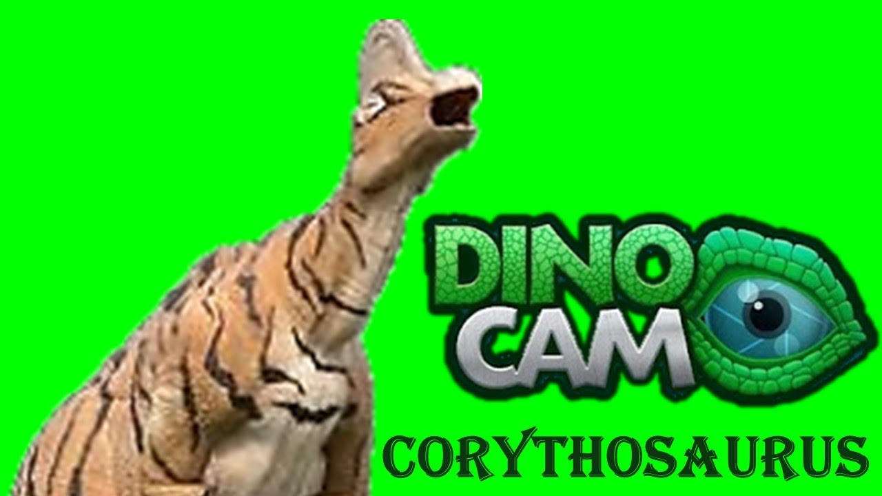 Dino Dana the movie corythosaurus Green Screen Dino Dan Dino cam - YouTube