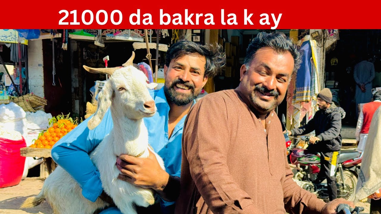 Bakra la k ay 21000 da paka k khalya 😂😂 - YouTube