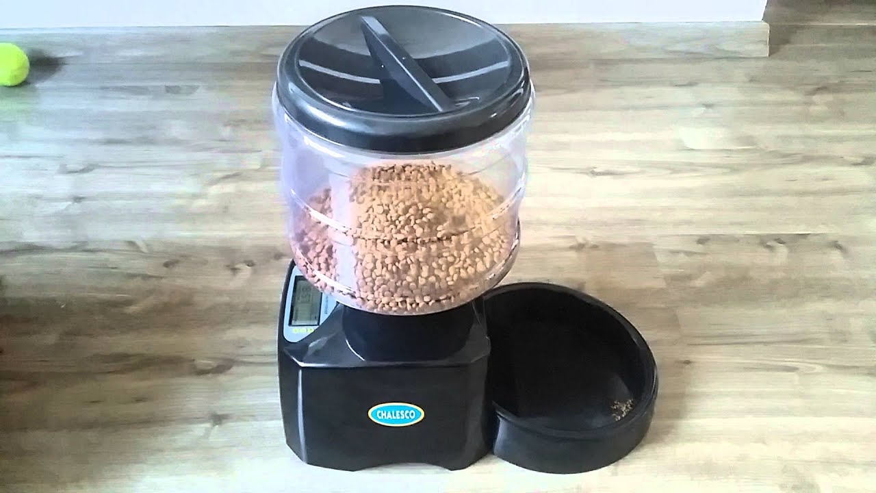 Comedouro Automático Eletrônico Chalesco - YouTube