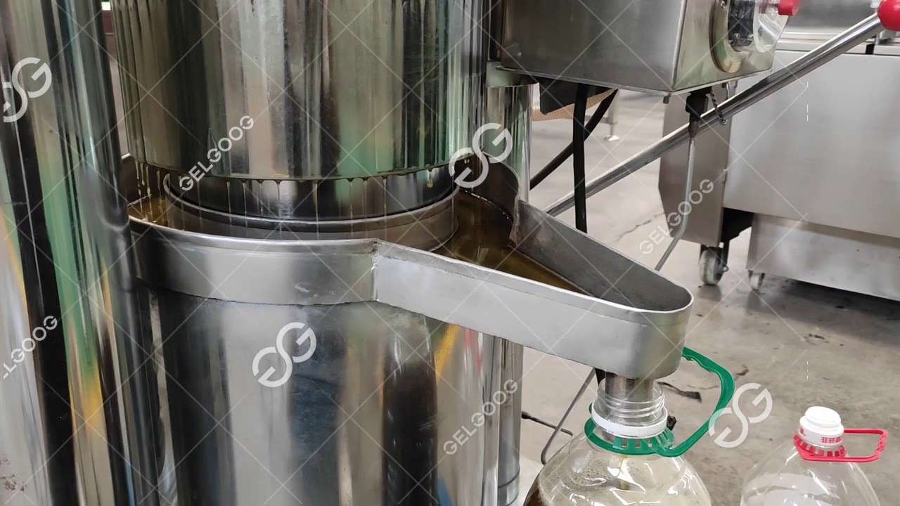 Cocoa Bean Oil Extraction Cacao Press Machine - YouTube