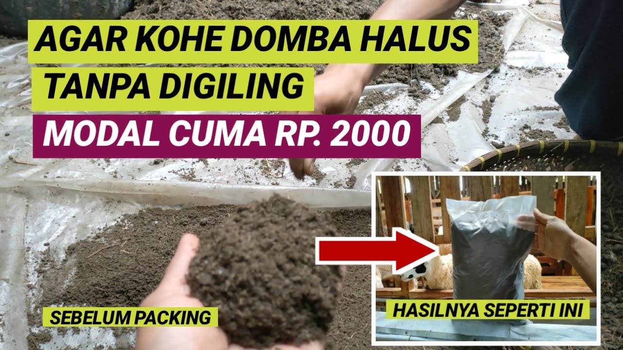 CARA MUDAH KOHE DOMBA/KAMBING JADI HALUS TANPA MESIN GILING - YouTube