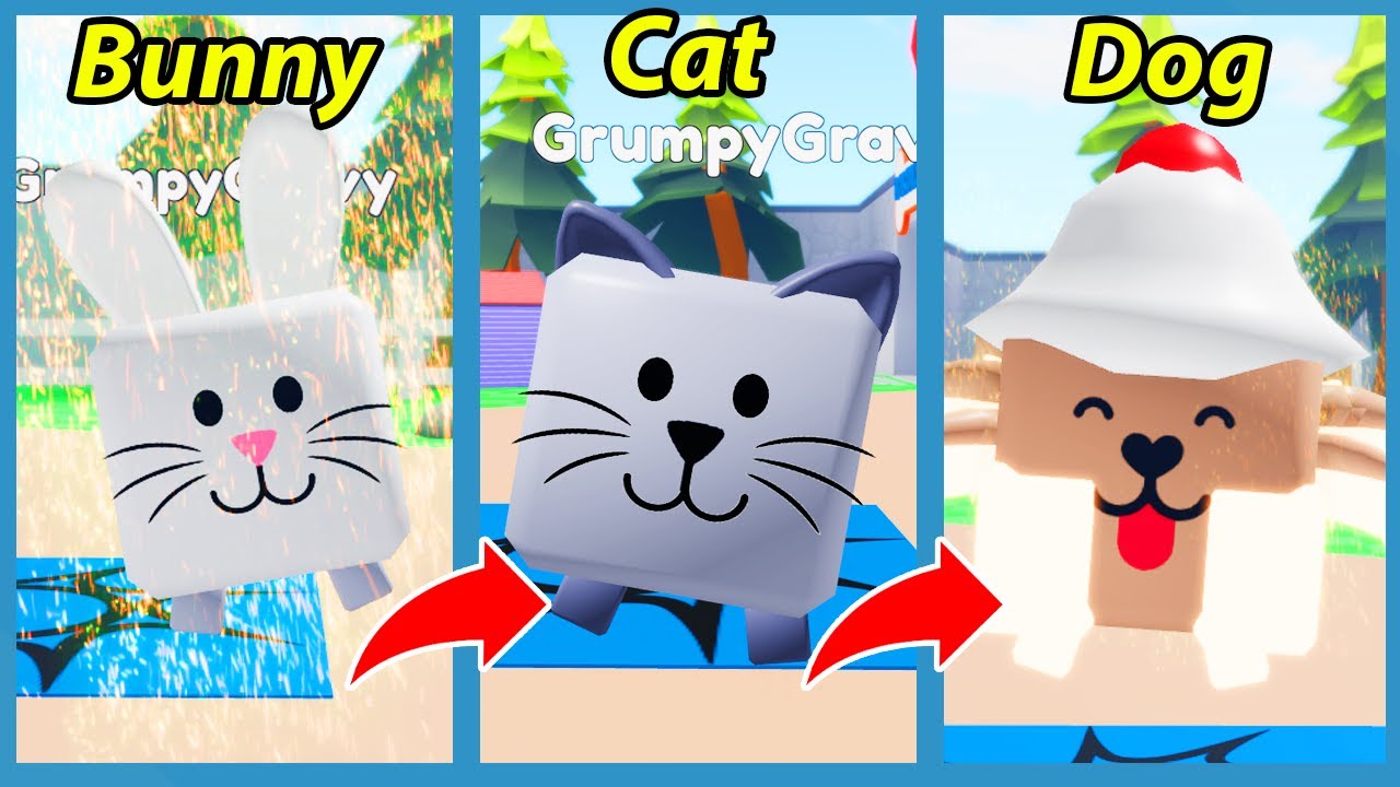 Noob VS Roblox Pet Evolution Simulator - YouTube