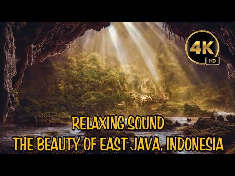 SOMEWHERE IN EAST JAVA INDONESIA | RELAXING SOUND - YouTube