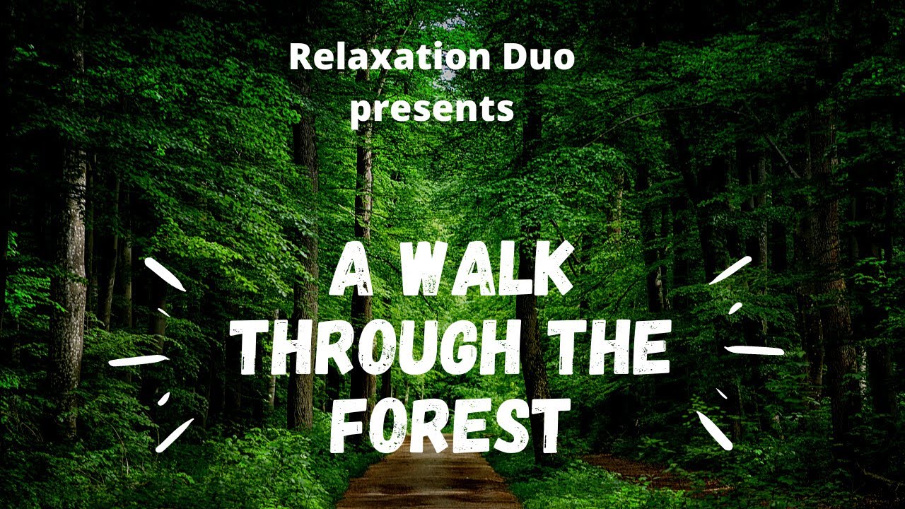A Walk through the Forest - Relaxing Music with Nature Sounds and Birds ...