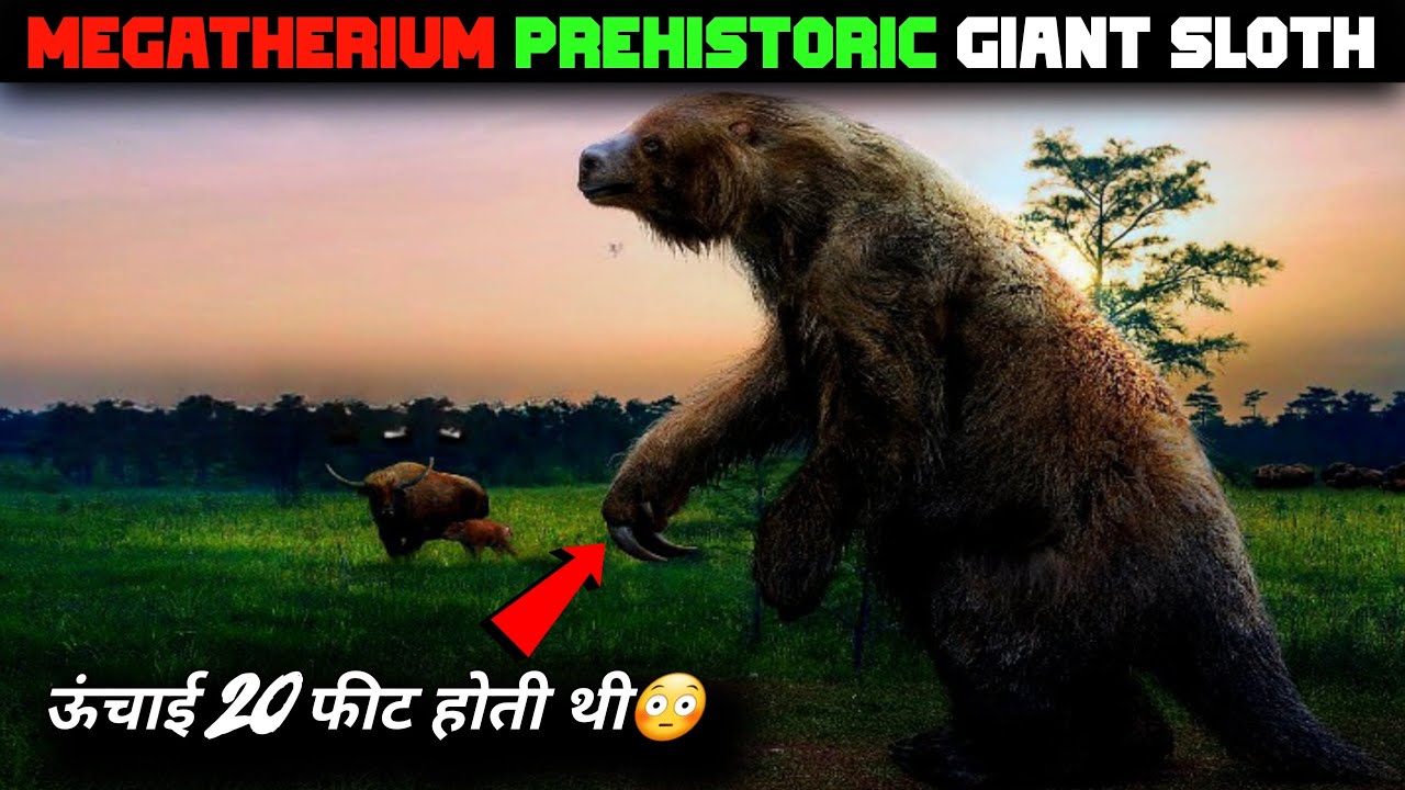 Mystery of prehistoric giant ground sloth "megatherium American ...