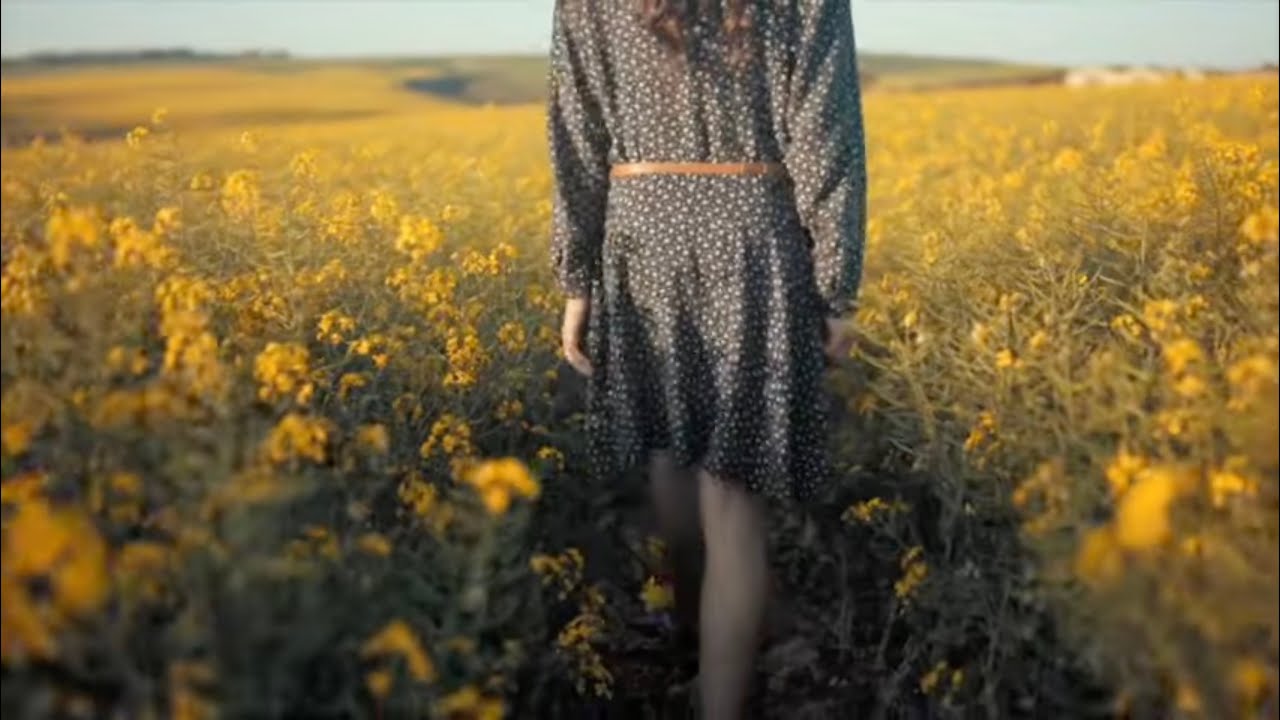 Harmony (By Elton J & Bernie T/arranged & performed by Tim Chewning ...