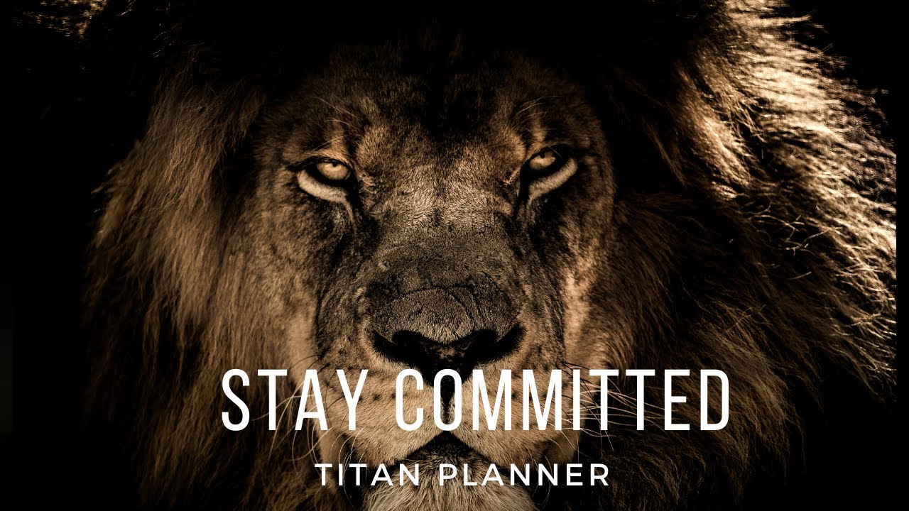MOTIVATIONAL VIDEO | STAY COMMITED - YouTube