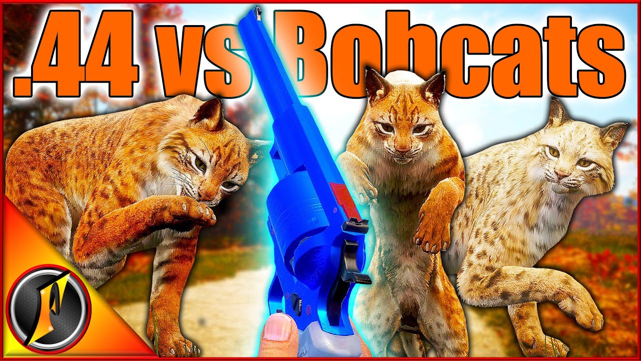 My New Favorite Bobcat Gun! | .44 Mag vs Bobcats in theHunter Call of ...