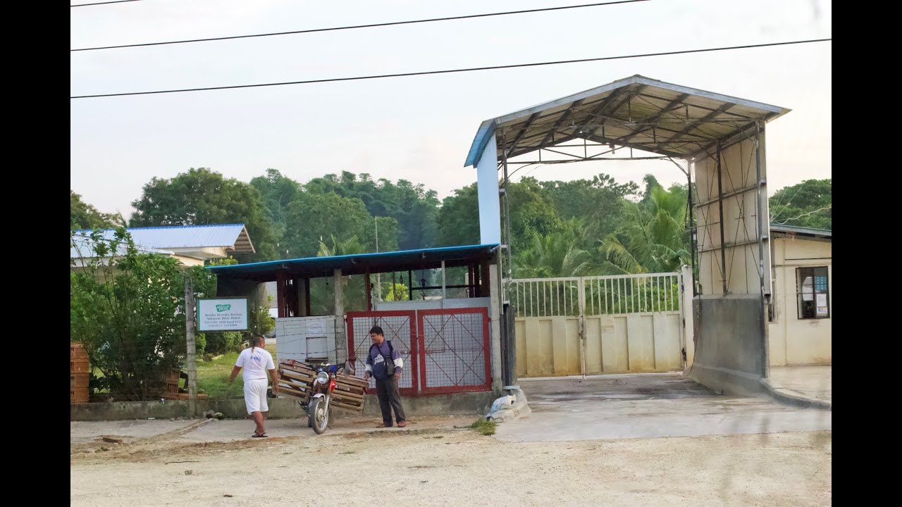 ROAD TRIP FROM MARCELA FARM BILAR TO SAGBAYAN - YouTube