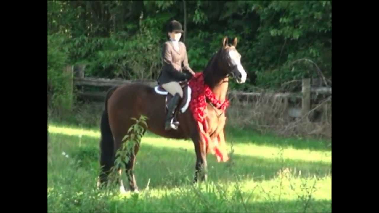 Ashley Toye / 'Chance to Jam++++//' presentation Legion of Masters May ...
