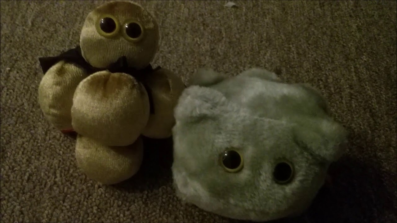 epesode 7 giant microbes zoo night - YouTube