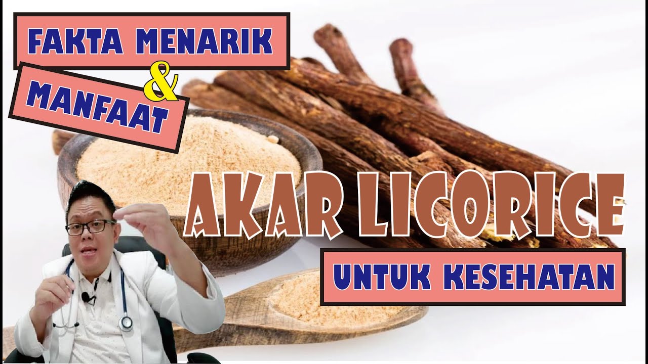 FAKTA MENARIK SERTA MANFAAT AKAR LICORICE (AKAR MANIS) UNTUK KESEHATAN ...