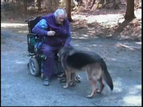 Teach your pet a 360 Degree Turn in Place - YouTube