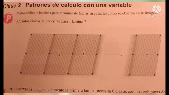 Hoja De Trabajo Sobre Patrones Y Funciones No Lineales Libro Completo