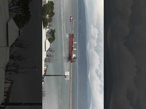 Büyük yük gemisinin Enerjisa Bandırma limanından ayrılma anı