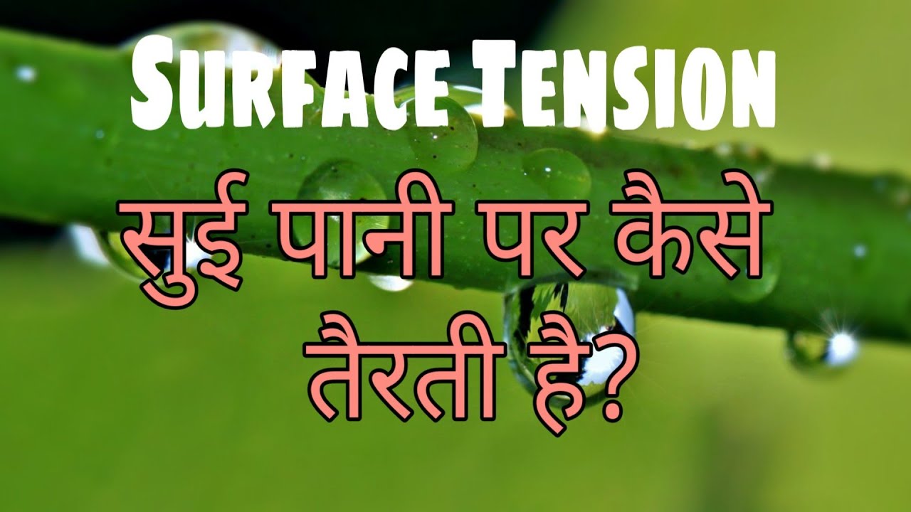 Surface Tension || सुई पानी पर कैसे तैरती है? || How needles float on ...