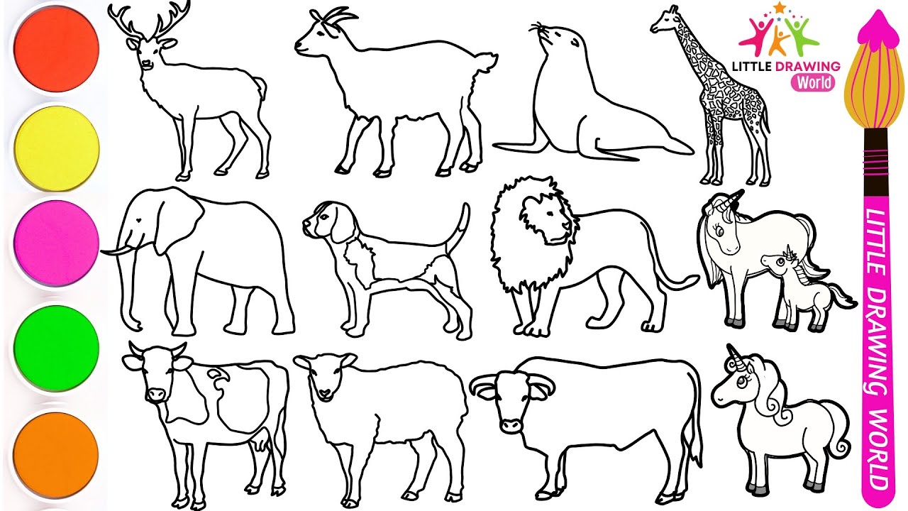 How To Draw 12 Wild Animals | Easy Step by Step Tutorial | How to draw ...