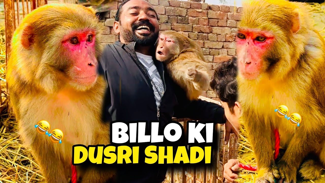 Billo Ki Dusri Shaadi Hony Wali Ha 😂 New Year Sy Pehly | Animal Lover ...
