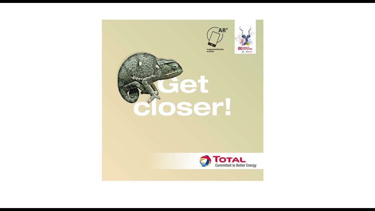 Total Collectable Animal Poster Series - YouTube