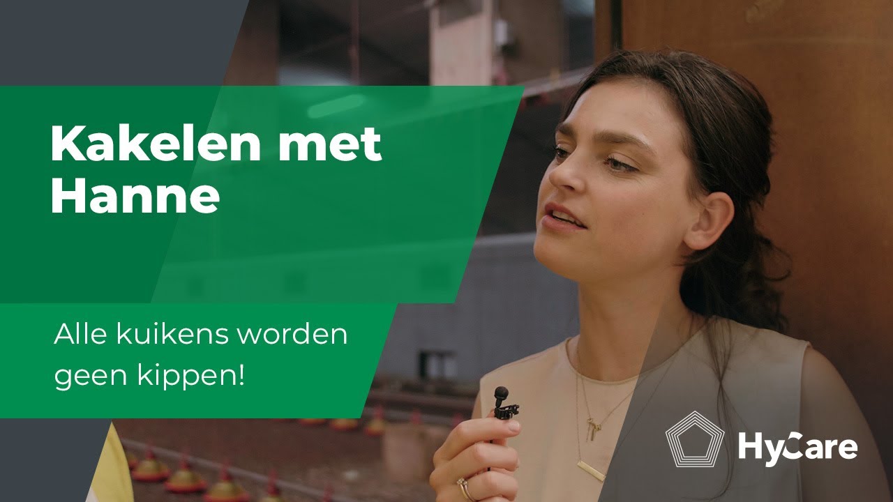 Kakelen met Hanne - Alle kuikens worden geen kippen! Hebben jouw kippen ...