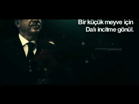 ERDOĞAN İNCİTME GÖNÜL