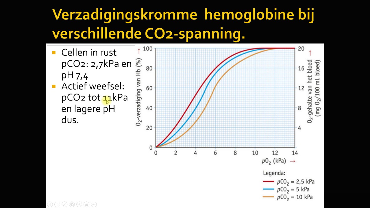 transport o2 en co2 - YouTube