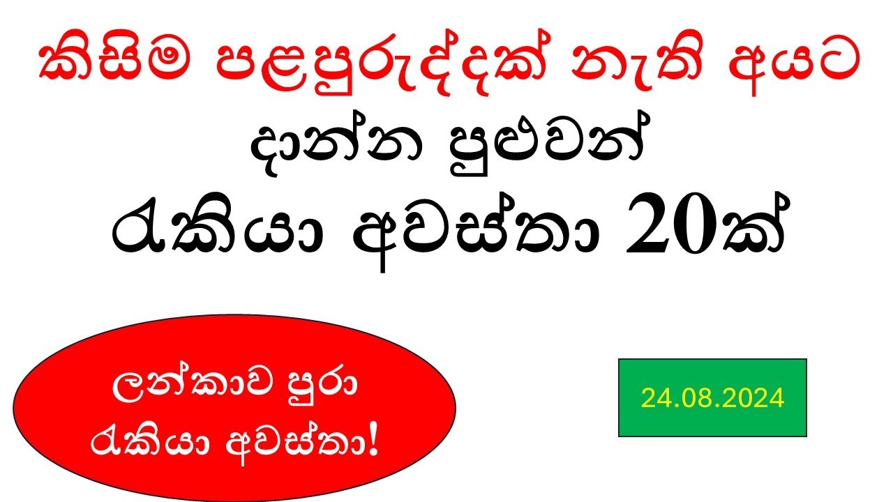 Trainee Job Vacancies in Sri Lanka 2024 | No Experience Required | Best Entry-Level ...