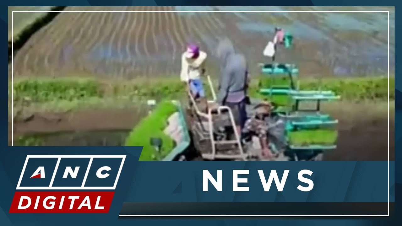 South Cotabato consolidates 1,400-hectares of farmlands to reduce rice ...