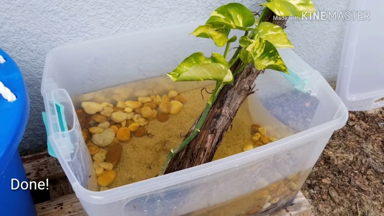 DIY Storage Tote Pond Tutorial - YouTube