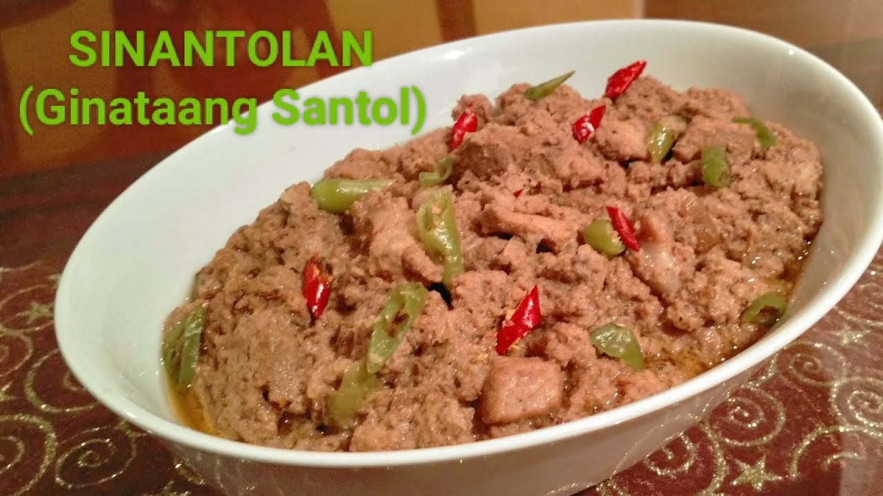 SINANTOLAN (Ginataang Santol) / Filipino / Lynne's Kitchen ️ - YouTube