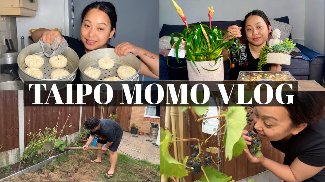 taipo 😂 thaipo🤣lypo😆gaipo MOMO VLOG - YouTube
