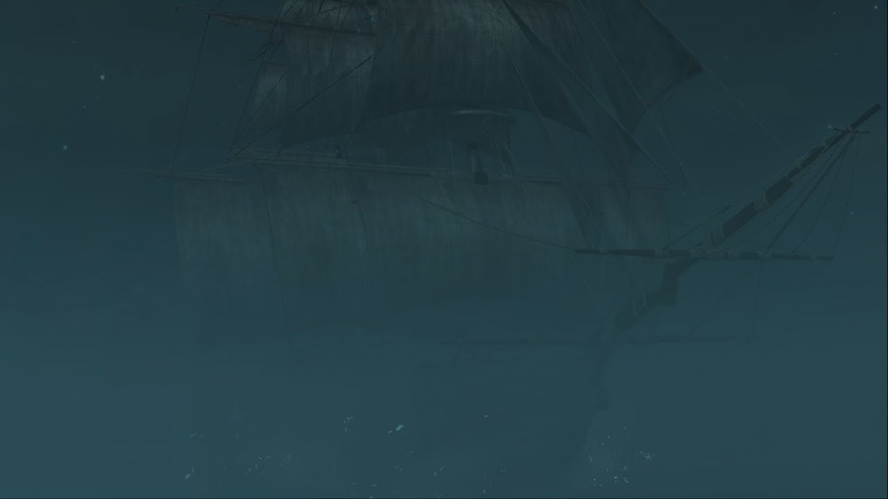 Bear defeats HMS Prince! - YouTube