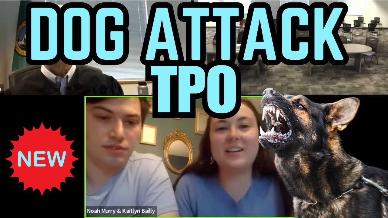 TPO Dog Attacks And Death Threats - YouTube
