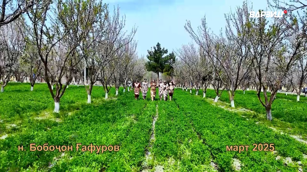 🌿 Feel the beauty of Spring in Tajikistan | Ghafurov & Isfara Districts ...