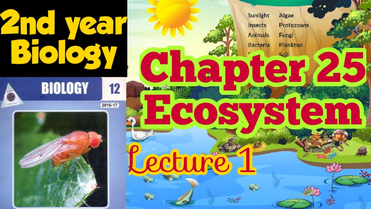 Ecosystems Introduction | Population, community, Ecology| Biology 12th ...