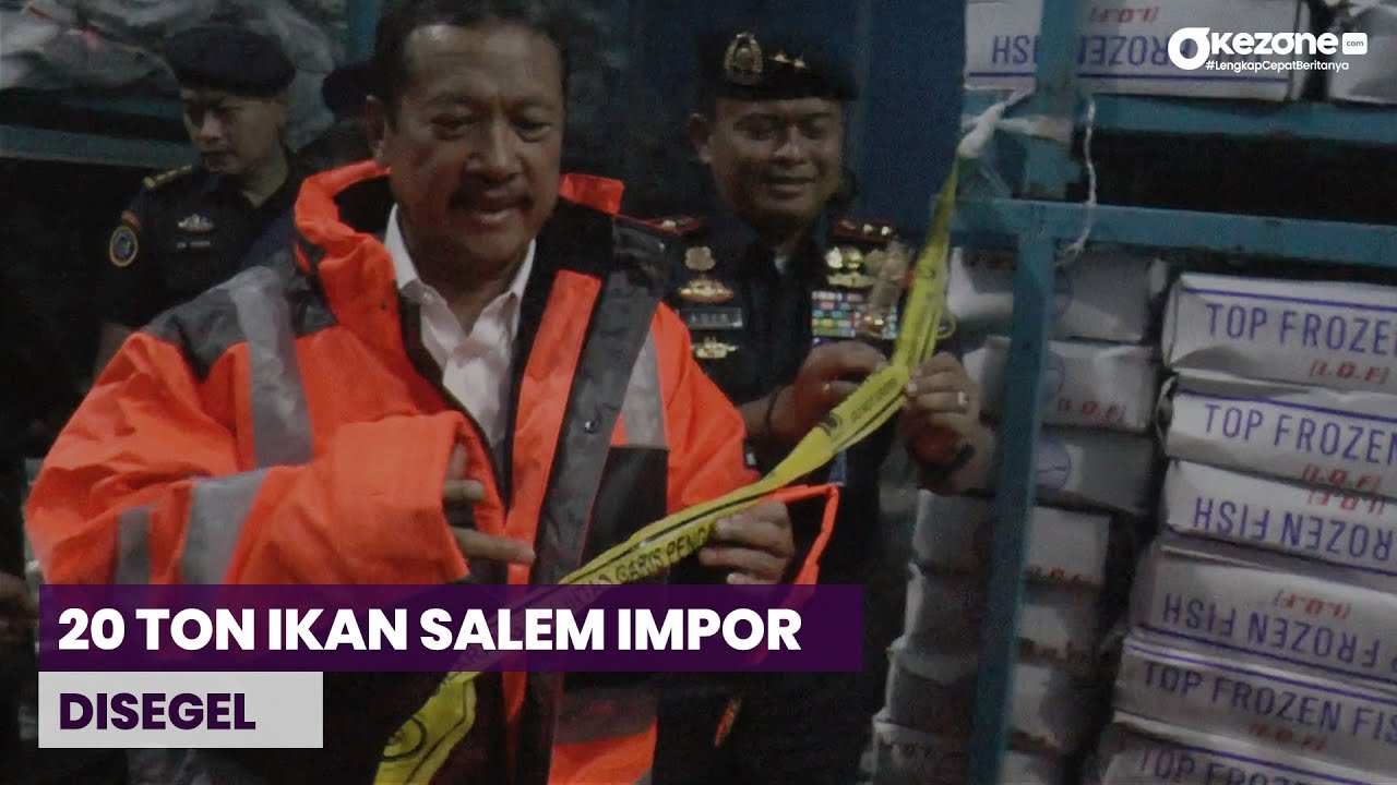 Tak Sesuai Peruntukan, Menteri KP Segel 20 Ton Ikan Salem Impor di ...