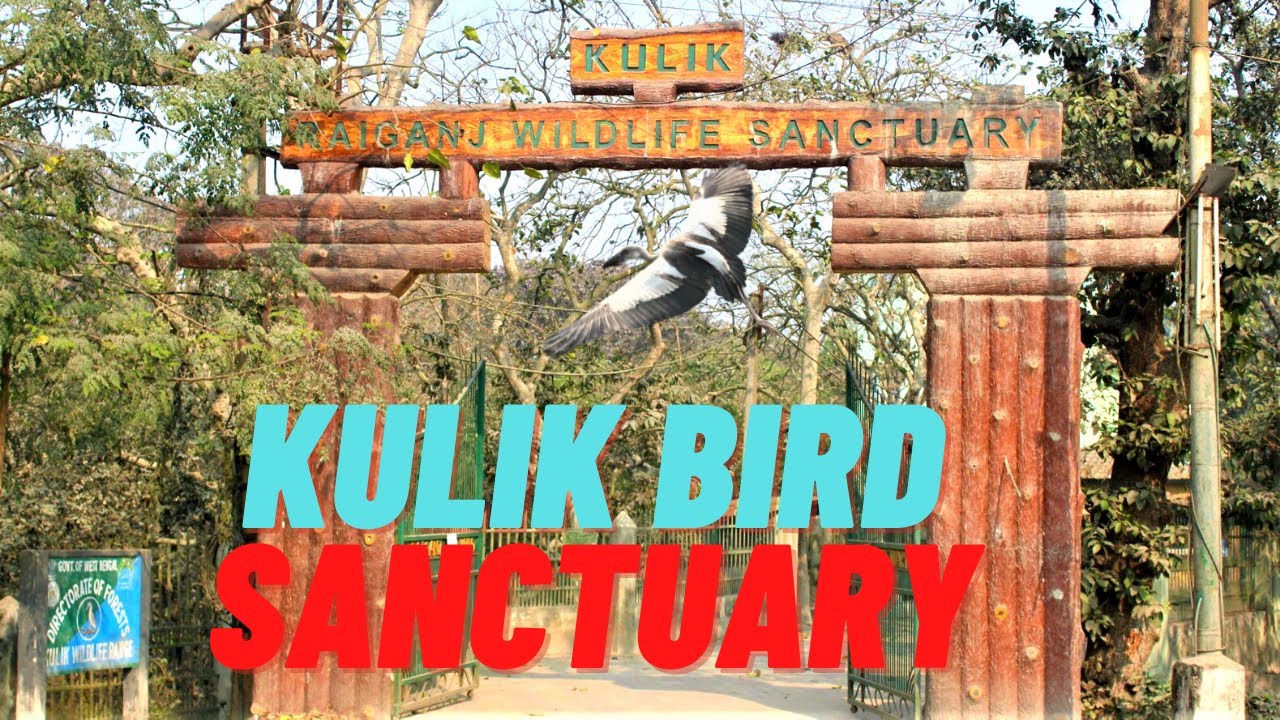 Raiganj Kulik Forest || Kulik Bird Sanctuary || কুলিক পাখিরালয় ...