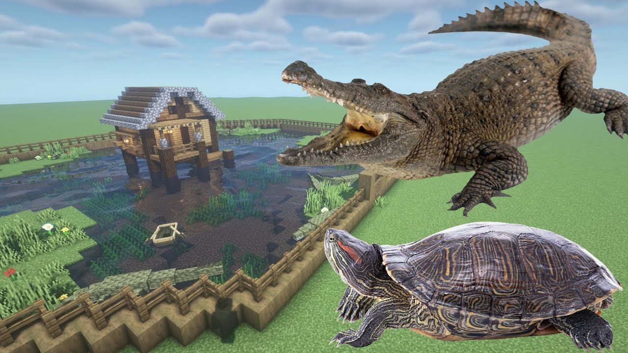 How To Make A Crocodile And Turtle Farm In Minecraft PE YouTube how-to-make-a-crocodile-and-turtle-farm-in-minecraft-pe-youtube