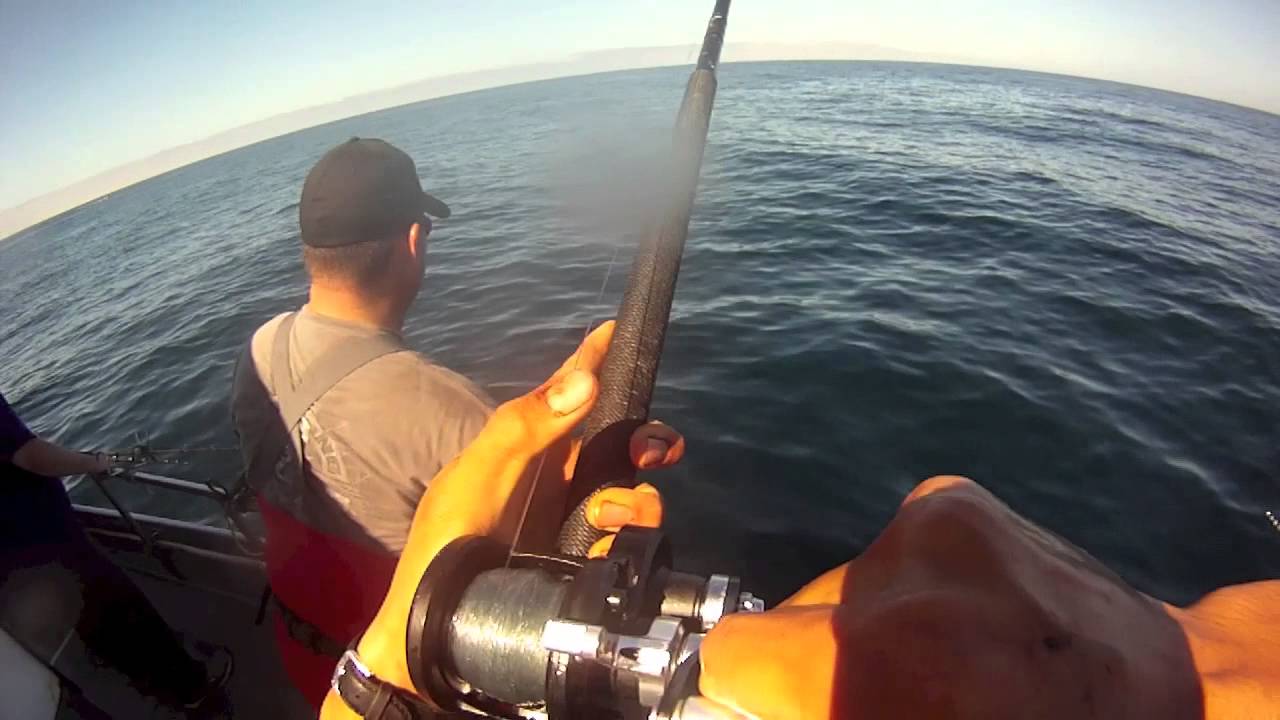 Northern California Albacore Tuna Fishing on the El Dorado Part 2 - YouTube