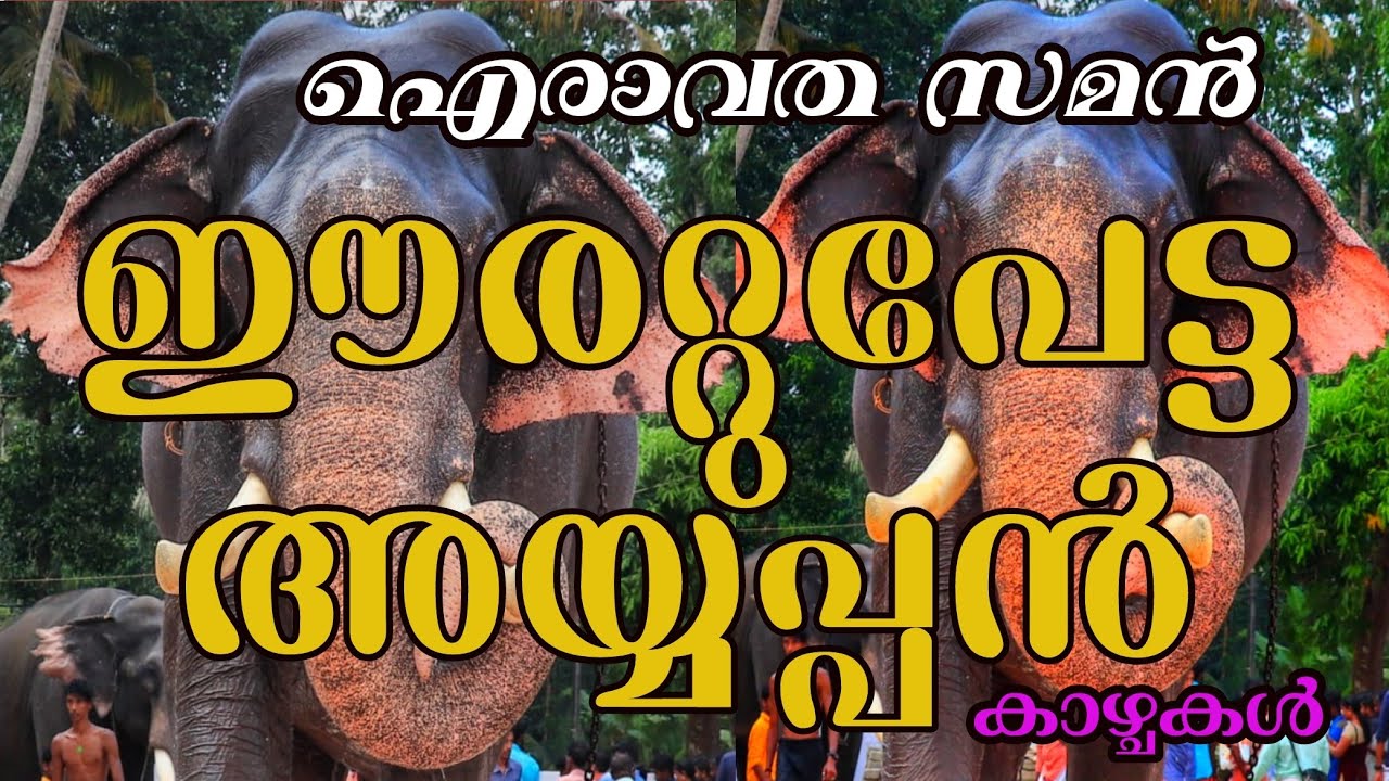 Erattupetta ayyappan Kerala Elephat 2020 keralaulsavam temple Festival ...