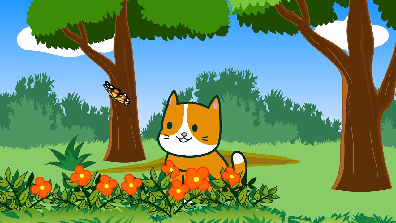 Cats Ranger : How DOT became the Cats Ranger? - YouTube