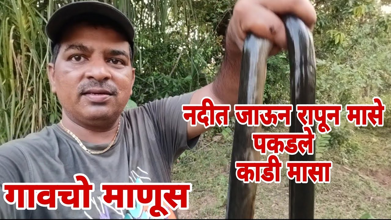 नदीत जाऊन रापुन मासे पकडले ll pramod gurav# कोकणातील मासेमारी ...