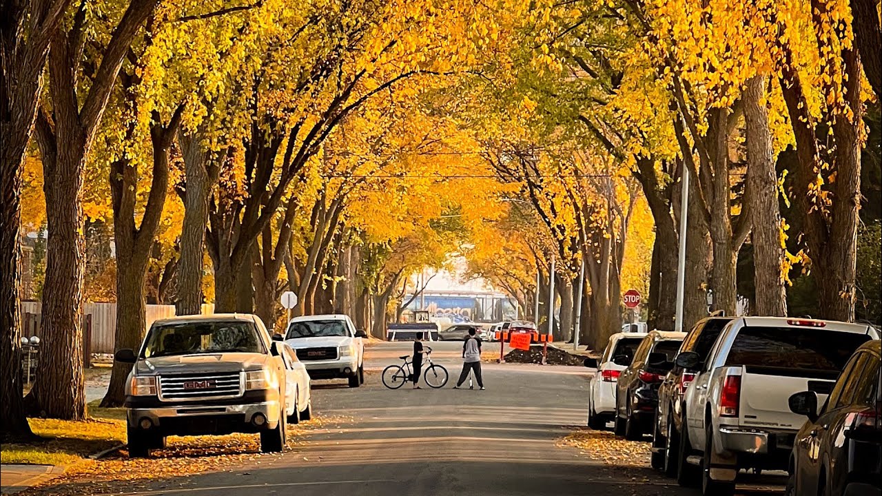 Edmonton bike ride 3 - YouTube